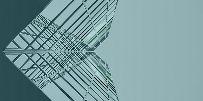 Building a successful, Purpose-led company – the how