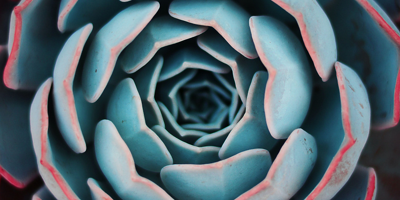 Mishcon launches MDR ONE – an employment law support business